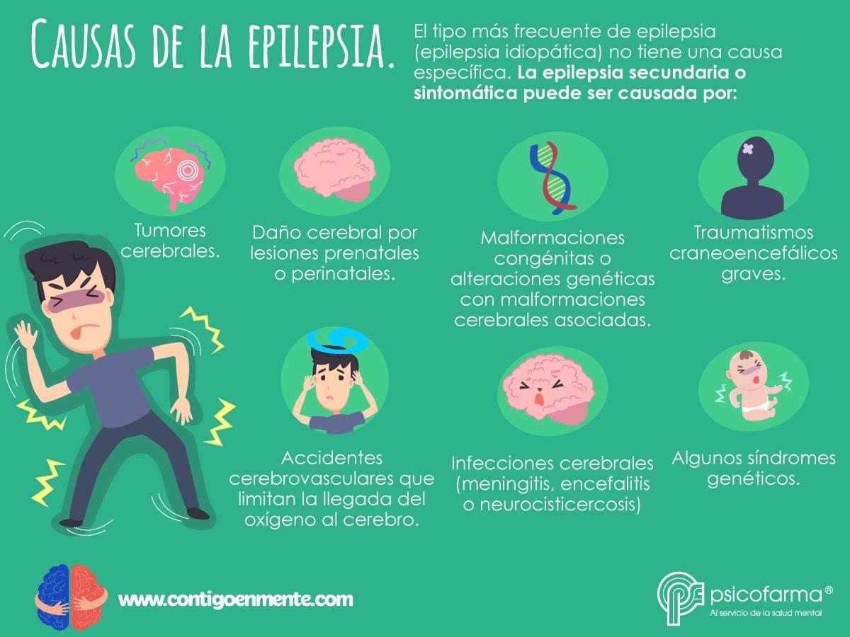 Causas De La Epilepsia Mspneurología #epilepsia #msp #somosciencia